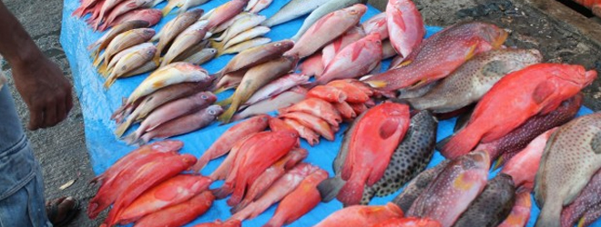 MH Supermarkets pledges to stop selling kawakawa and donu