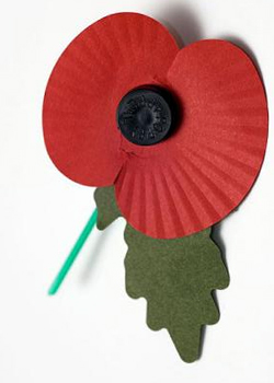 Poppy mark significant times for fallen soliders