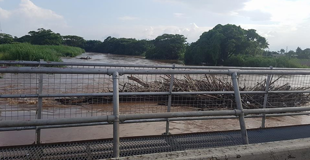 Nadi Town Council clearing drains and watching Nadi River water level