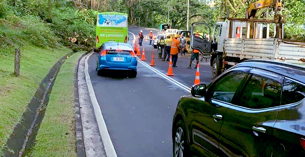 Thousands of people affected as fallen tree blocks access to Edinburgh ...