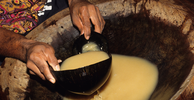 Australian Government to commence commercial importation of kava by 2020