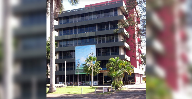 Aging trees in front of FDB building to be cut down due to posing ...