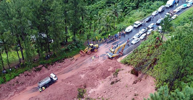 Queens Road at Veisari to have one lane closed to clear trees