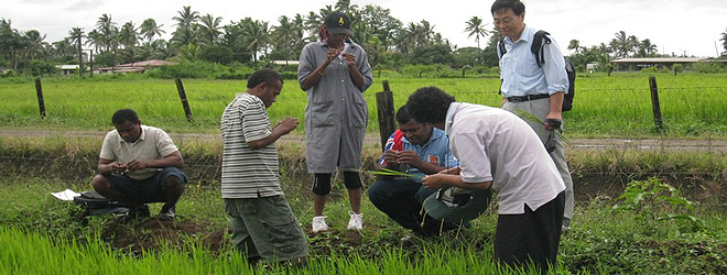 Chinese experts in Fiji to implement $10M Rice Development Program