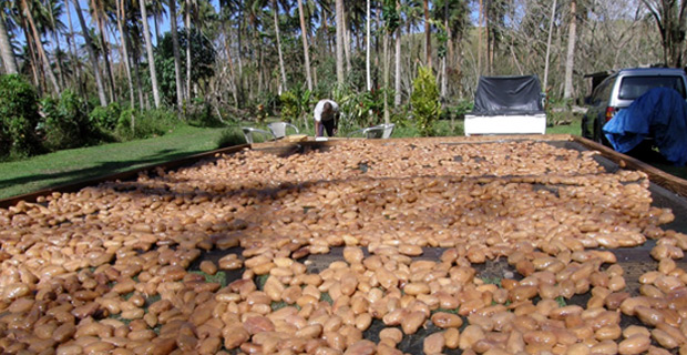 Fiji currently exporting Cocoa to 17 destinations around the globe