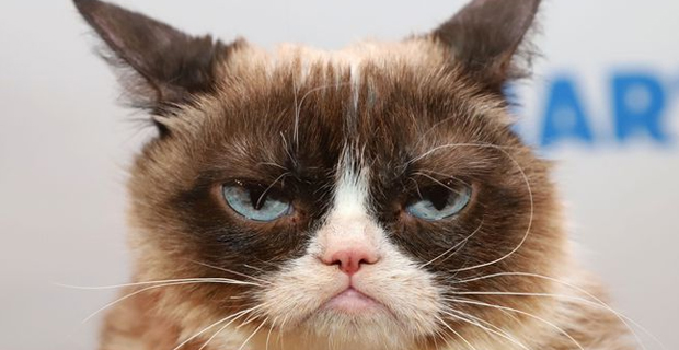 Grumpy Cats Mother