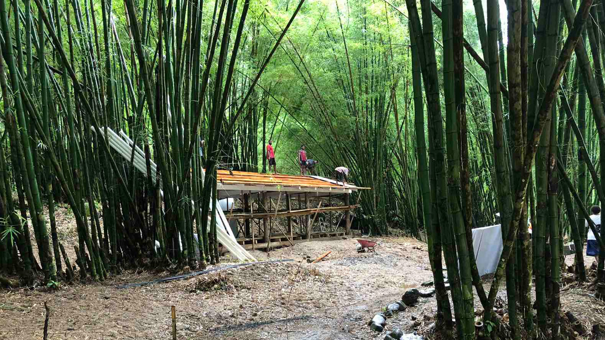 Youth-led project brings Dakuinaroba Bamboo in Namosi Park to life