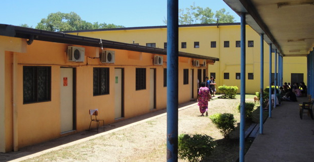 Free Bird Institute concerned with increase in number of its foreign ...