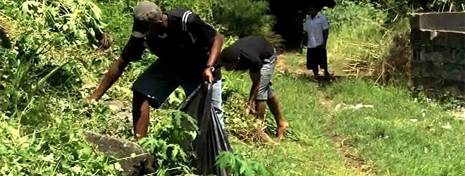 Municipalities begin dengue cleanup campaign