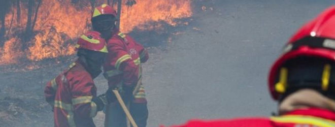 Three days of mourning for 61 victims of forest fire