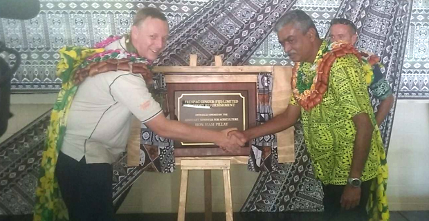 Frespac Ginger Fiji Limited opens its refurbished factory in Wailada, Lami