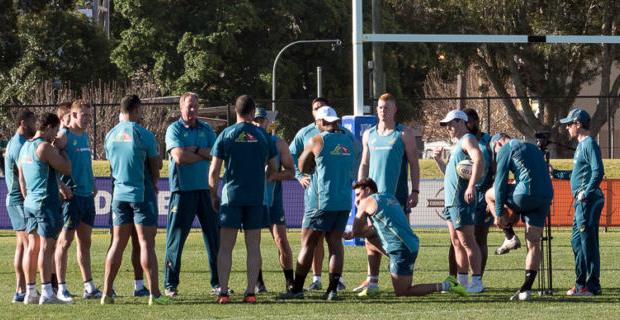 Cheika adamant Wallabies defence will be up to scratch against All Blacks