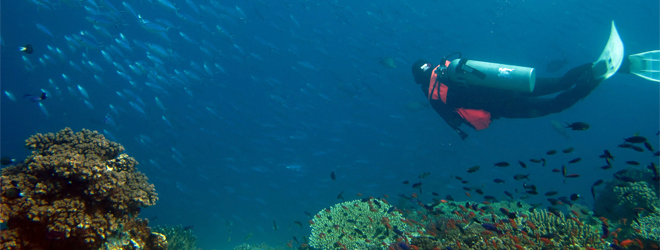 Vatu-i-Ra Seascape ranked in Top 7 Honeymoon Destinations