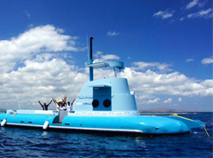 MV Seaview is Fiji’s newest tourist attraction