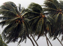 West told to brace for strong winds