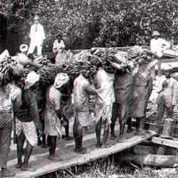 93yr old Koya thankful to iTaukei community