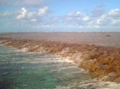 Minerva Reef falls within Fiji EEZ says Fiji Govt