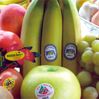 NZ fresh produce company to open outlet in Fiji