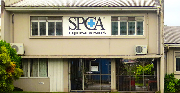 SPCA Fiji launches Communities Compliant in Legislation and Animal ...